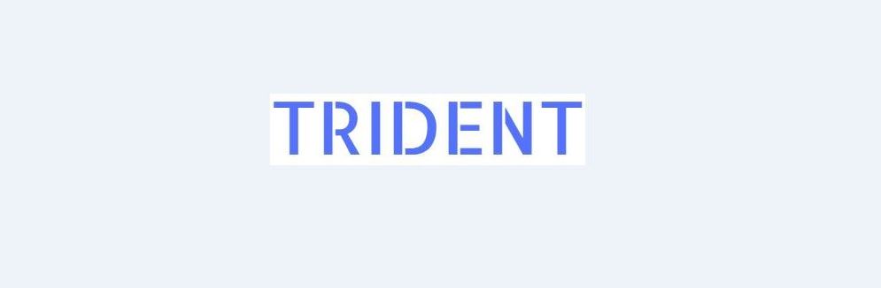 background-trident-1 – Trident Disabilities